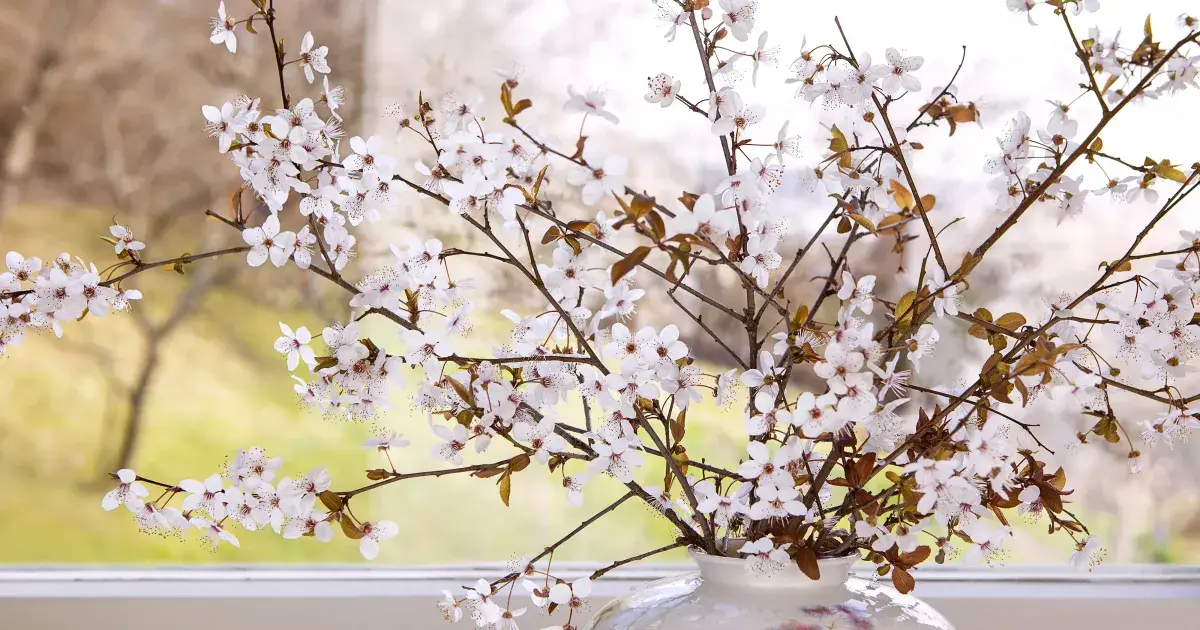 GALERIE: Barborky, které opravdu zazáří. Nápady, díky nimž budou ...